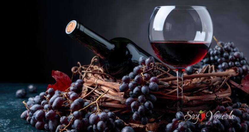 Los defectos más comunes de un vino - Soy Vinícola